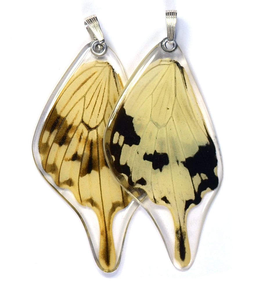 Butterfly Pendant Only, Flying Handkerchief Swallowtail, Bottom Wing ...