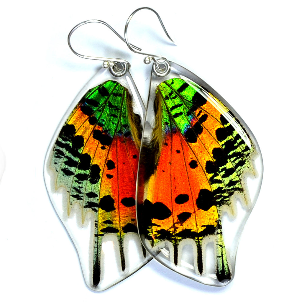 Real Butterfly earrings, Sunset butterfly, bottom wings – Petal Connection